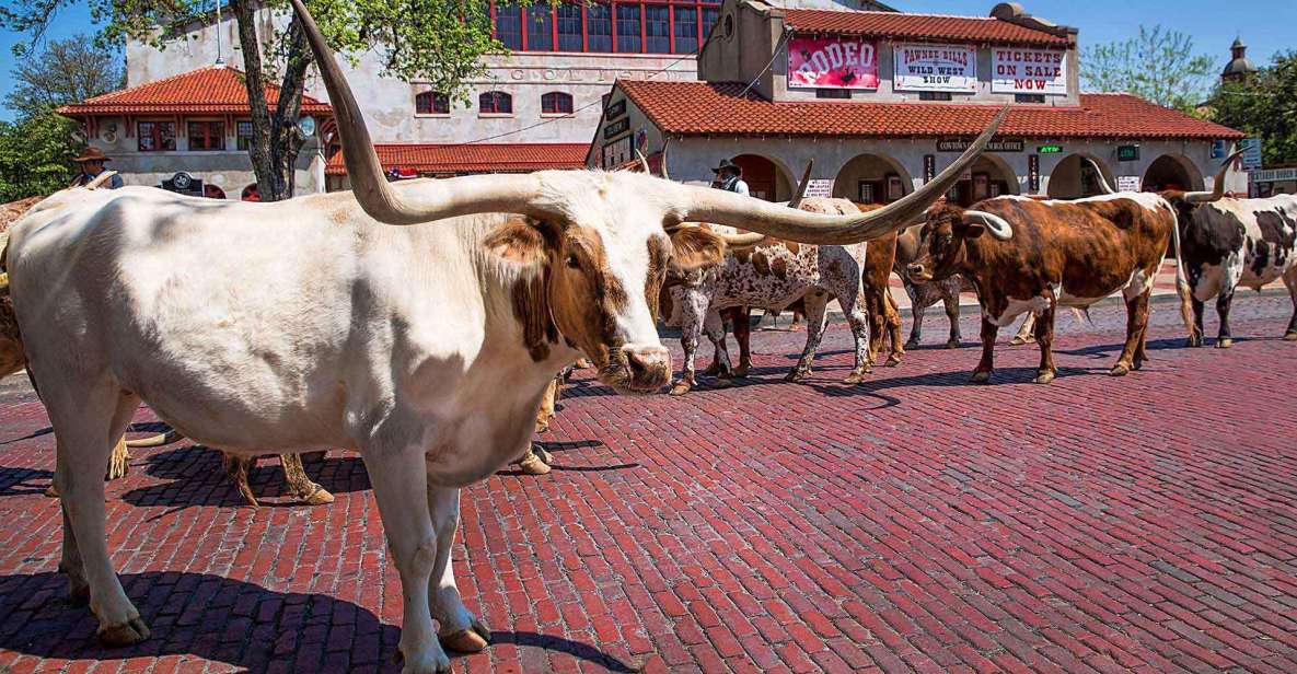 From Dallas: Fort Worth Guided Day Tour - Practical Details and Value