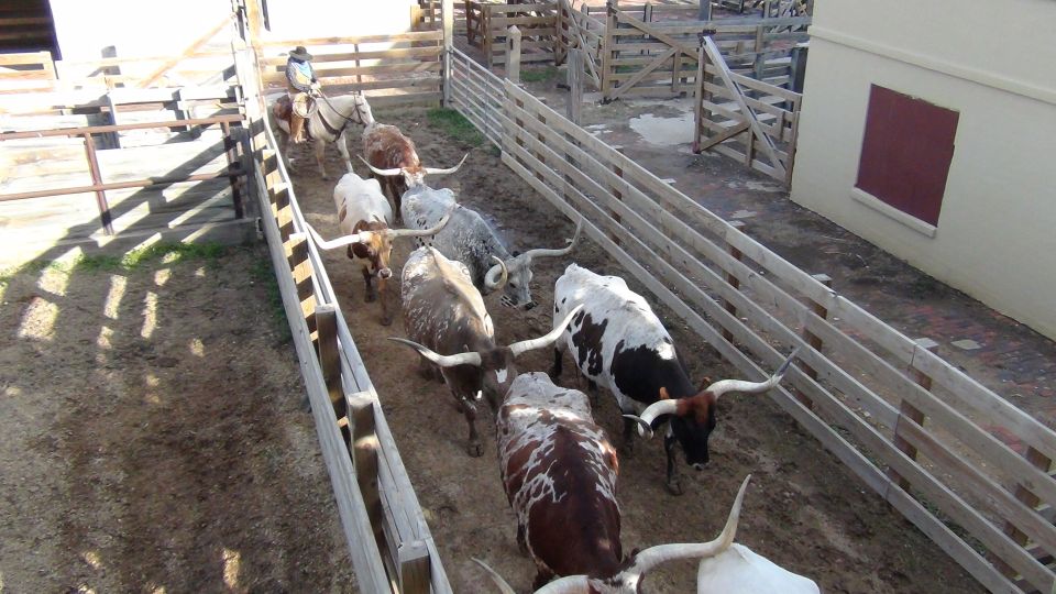 From Dallas: Fort Worth Guided Day Tour - FAQs