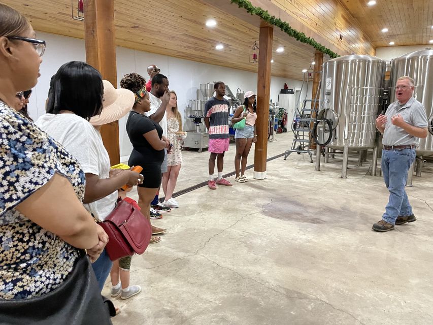 From DC: Premium Virginia Wine Country Tour with Tastings - Practical Tips for Your Day Trip