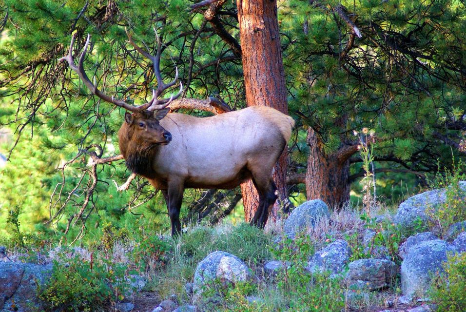 From Denver: Guided Hike in Rocky Mountain National Park - Practical Details & Tips