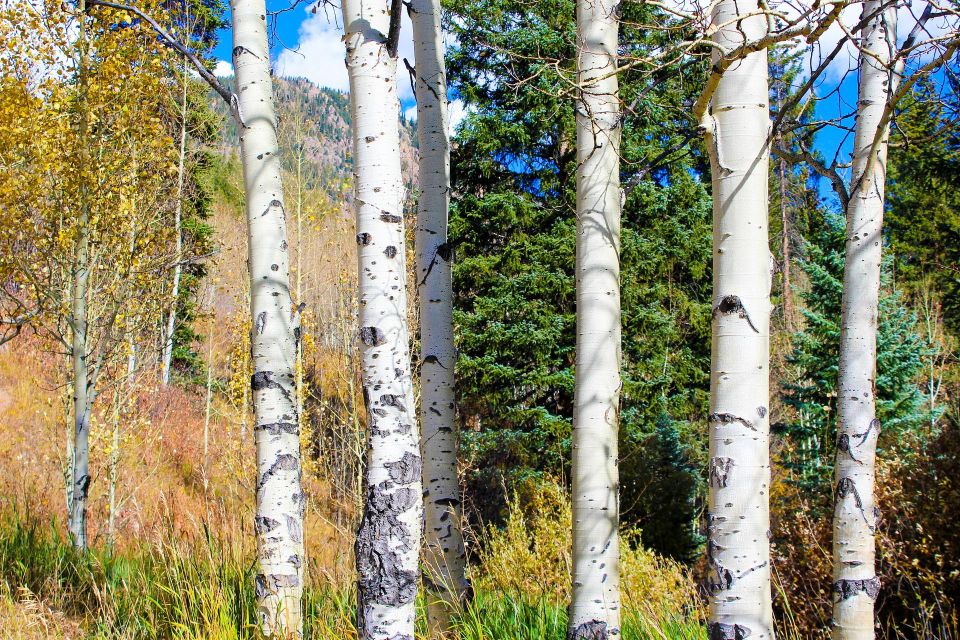 From Denver: Hike the Rockies Tour - Key Points
