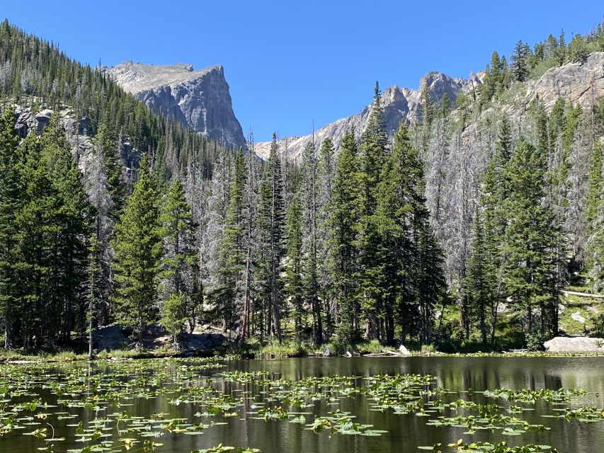 From Denver: Rocky Mountains Jeep Tour with Picnic Lunch - Frequently Asked Questions