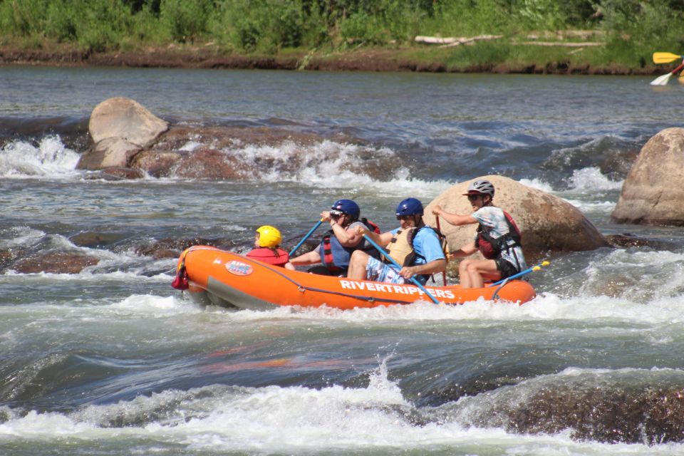 From Durango: Animas River Whitewater Rafting - What to Expect on the Animas River Whitewater Trip