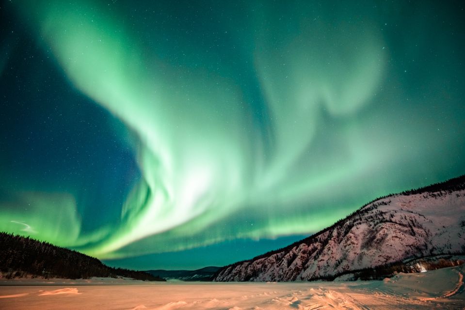 From Fairbanks: Arctic Circle Northern Lights Full-Day Trip - Exploring the Arctic Circle and Northern Lights from Fairbanks: A Complete Look