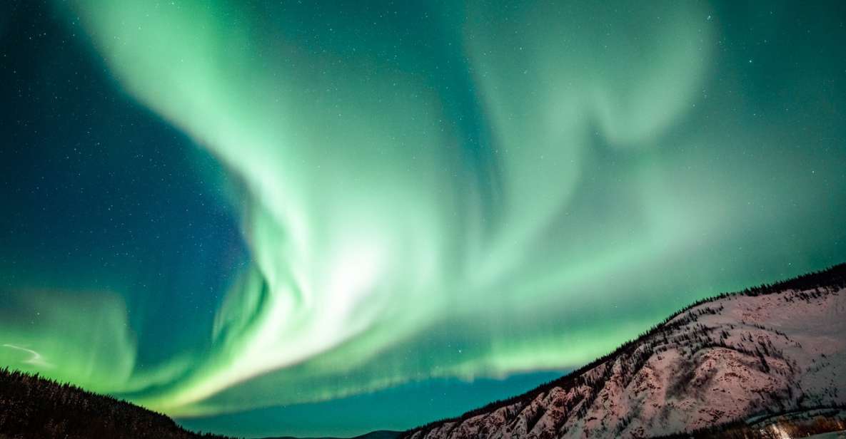 From Fairbanks: Arctic Circle Northern Lights Full-Day Trip - Key Points