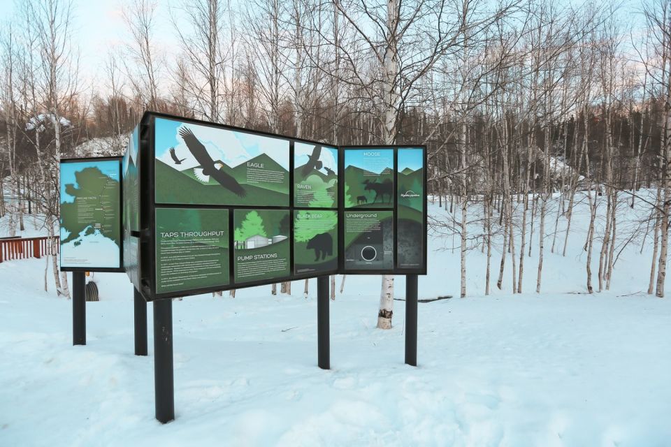 From Fairbanks: Arctic Circle Northern Lights Full-Day Trip - The Itinerary Breakdown: What You Can Expect