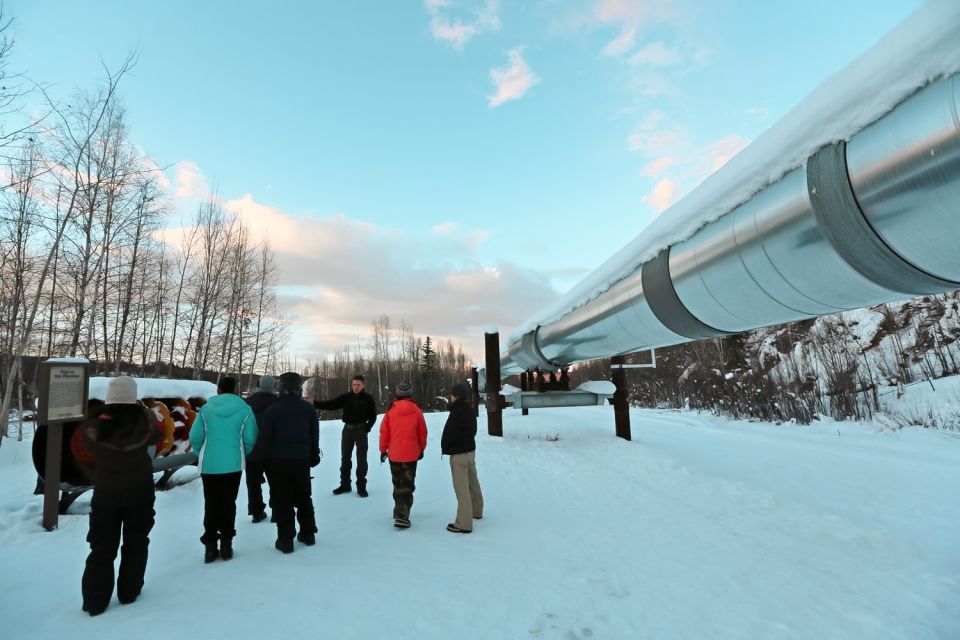 From Fairbanks: Arctic Circle Northern Lights Full-Day Trip - Transportation and Comfort