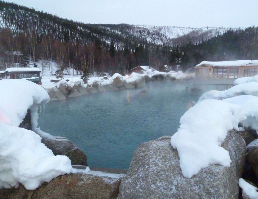 From Fairbanks: Chena Hot Springs Northern Lights Tour - What’s Included and What’s Not