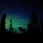 From Fairbanks: Northern Lights and Arctic Circle Tour - Transportation & Group Size