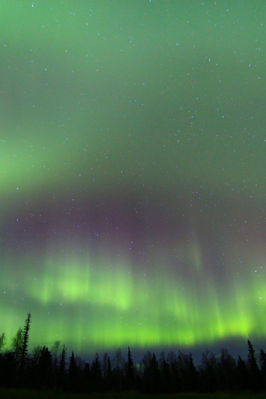 From Fairbanks: Northern Lights & Murphy Dome Tour - What to Expect on the Murphy Dome Northern Lights Tour