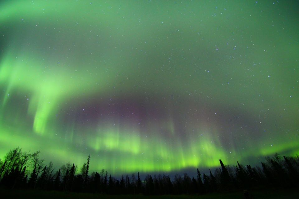 From Fairbanks: Northern Lights & Murphy Dome Tour - Why This Tour Offers Good Value