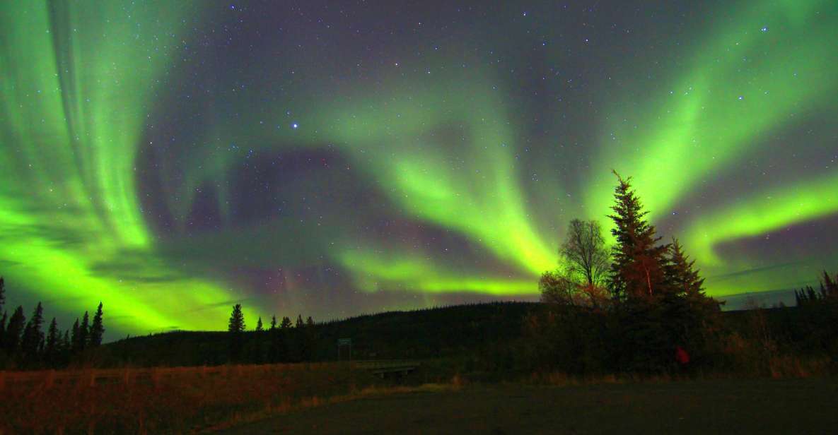From Fairbanks: Northern Lights & Murphy Dome Tour - Authentic Experiences and Authentic Guides
