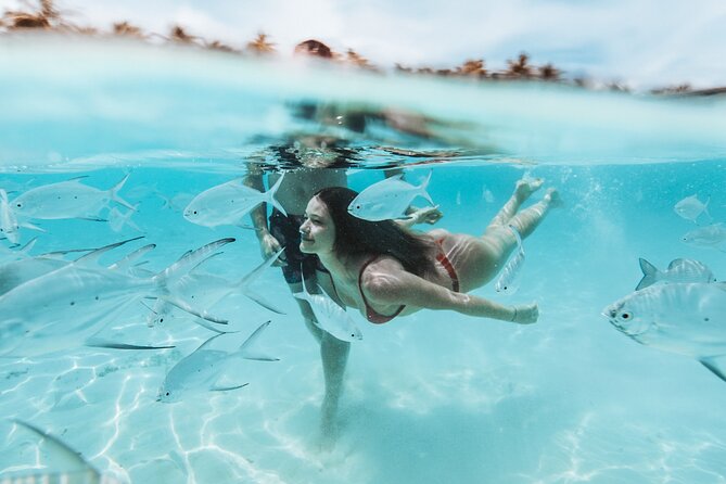 FROM FLORIDA: Bimini Bahamas Day Trip By Fast Ferry - The Real Deal: What We Like and What to Watch Out For