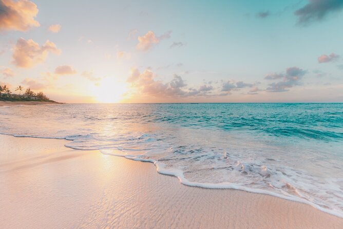 FROM FLORIDA: Bimini Bahamas Day Trip By Fast Ferry - Final Thoughts: Is This Tour for You?