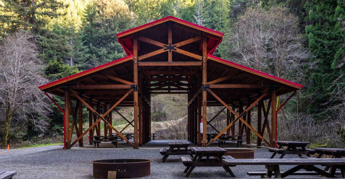 From Fort Bragg: Redwoods Train Ride and Nightclub Ticket - The Itinerary in Detail