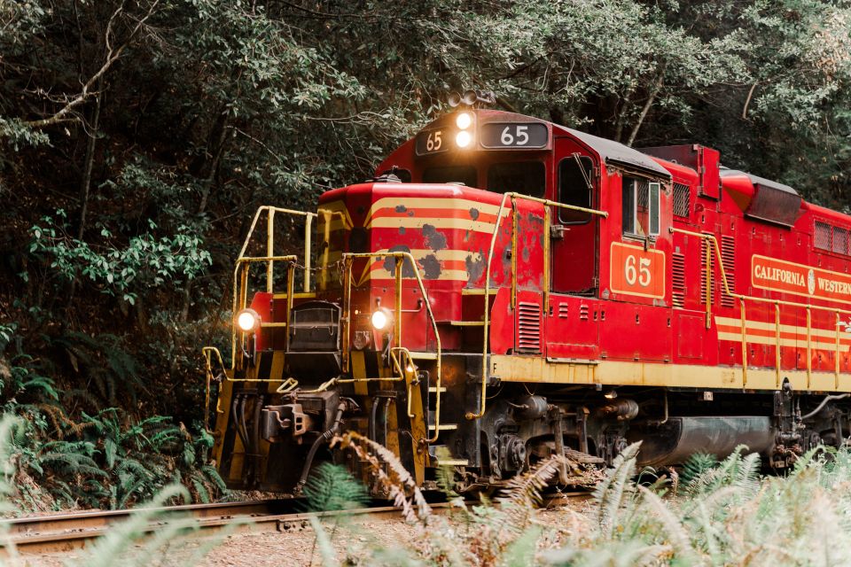 From Fort Bragg: Redwoods Train Ride and Nightclub Ticket - Who Should Book This Tour?