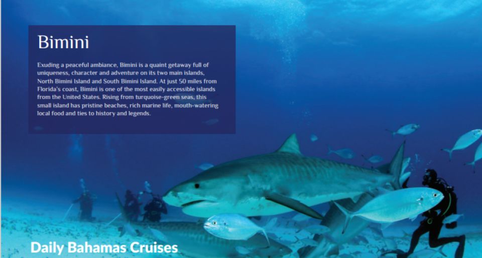 From Fort Lauderdale: Bimini Island Day Trip by Ferry - Who Is This Trip Best For?