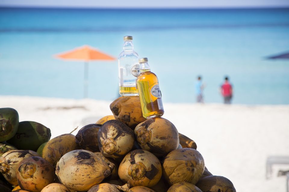 From Fort Lauderdale: Day Trip to Bimini - The Value for Money: Is It Worth It?