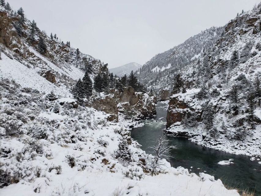 From Gardiner: Guided Yellowstone Cross-Country Skiing Tour - Key Points