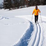From Gardiner: Guided Yellowstone Cross-Country Skiing Tour - What to Expect from the Tour