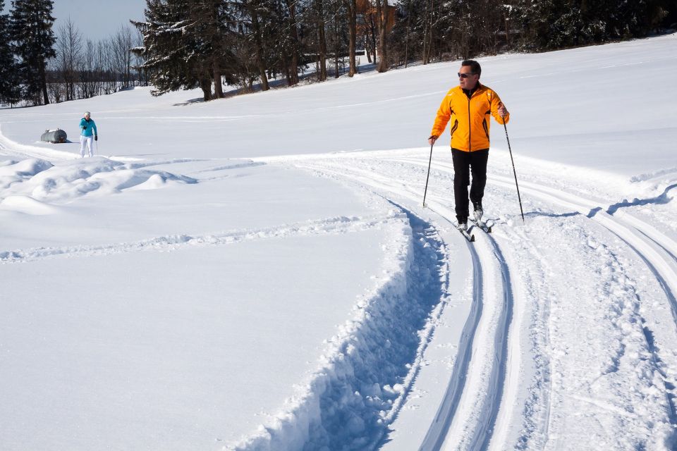 From Gardiner: Guided Yellowstone Cross-Country Skiing Tour - What to Expect from the Tour