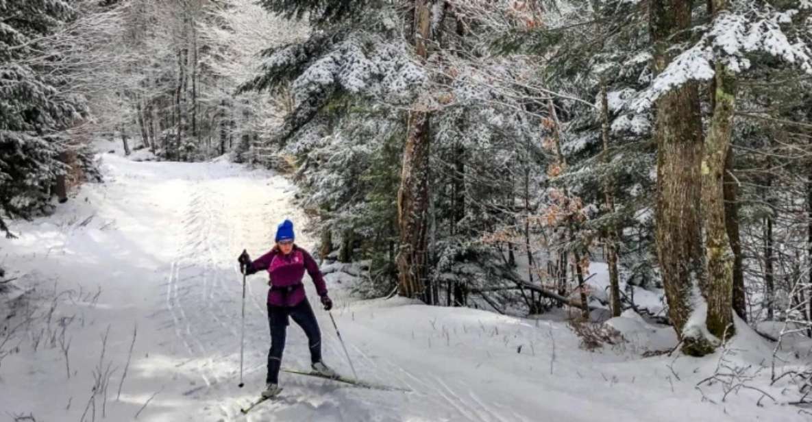 From Gardiner: Guided Yellowstone Cross-Country Skiing Tour - Why This Tour Stands Out