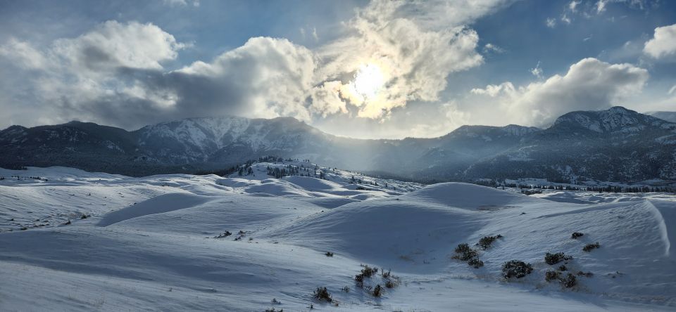 From Gardiner: Guided Yellowstone Cross-Country Skiing Tour - Who This Tour Is Best For