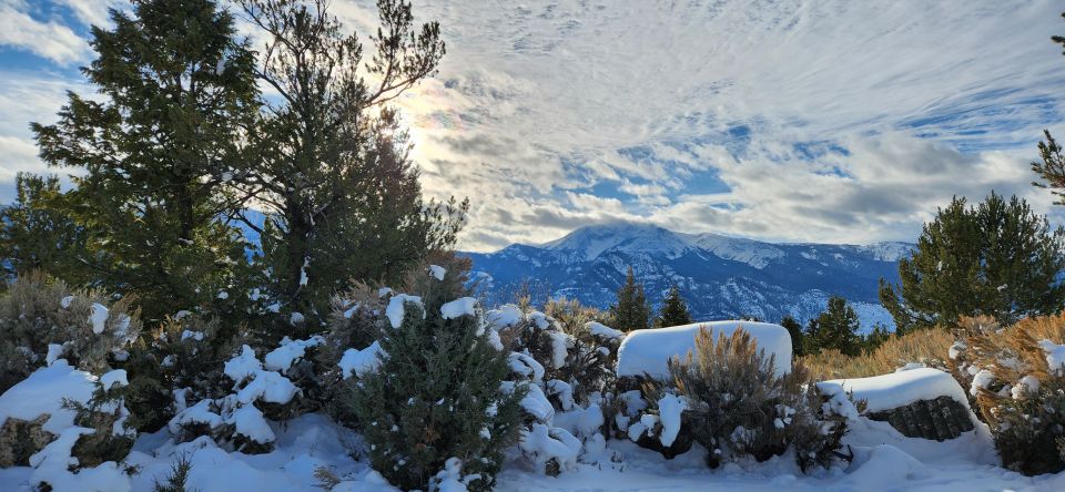 From Gardiner: Yellowstone National Park Snowshoe Tour - Exploring Yellowstone in Winter: What Makes This Tour Special