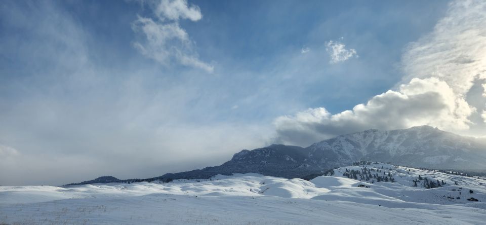 From Gardiner: Yellowstone National Park Snowshoe Tour - Itinerary Breakdown: What to Expect on Your Day