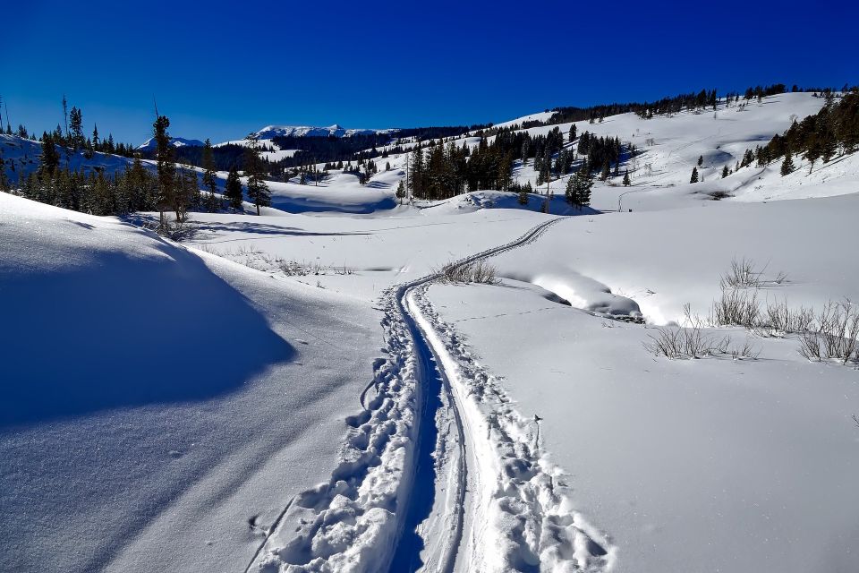 From Gardiner: Yellowstone National Park Snowshoe Tour - Who Would Love This Tour?