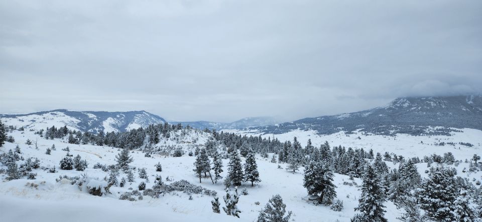 From Gardiner: Yellowstone National Park Snowshoe Tour - FAQ