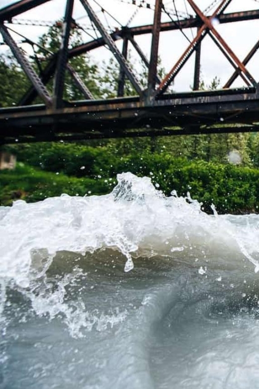 From Girdwood or Anchorage: Spencer Glacier Float & Railroad - Value and Practical Considerations