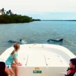 From Goodland: Private Shelling and Dolphin Watching Cruise - Why This Tour Is a Great Value