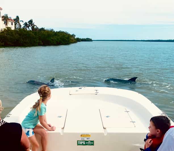 From Goodland: Private Shelling and Dolphin Watching Cruise - Why This Tour Is a Great Value