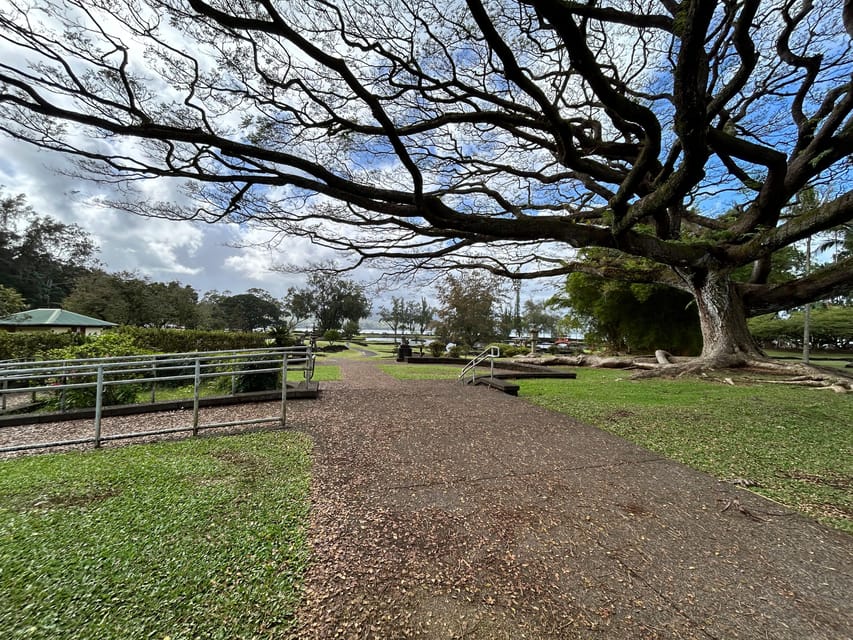 From Hilo: Hawaii Volcanoes National Park Tour - The Experience in Practice