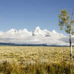 From Jackson: Grand Teton Wildlife & Scenery Tour with Lunch - Price and Value Analysis