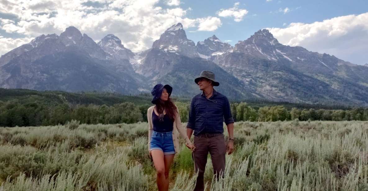 From Jackson: Grand Teton Wildlife & Scenery Tour with Lunch - Why You Should Consider Booking