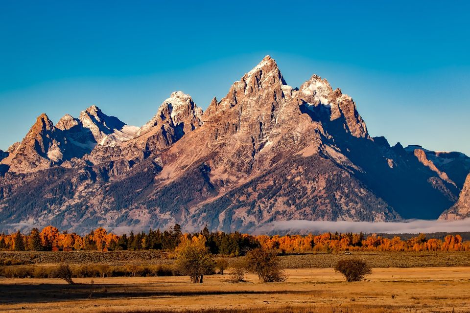 From Jackson: Half-Day Grand Teton National Park Tour - What Makes This Tour Stand Out