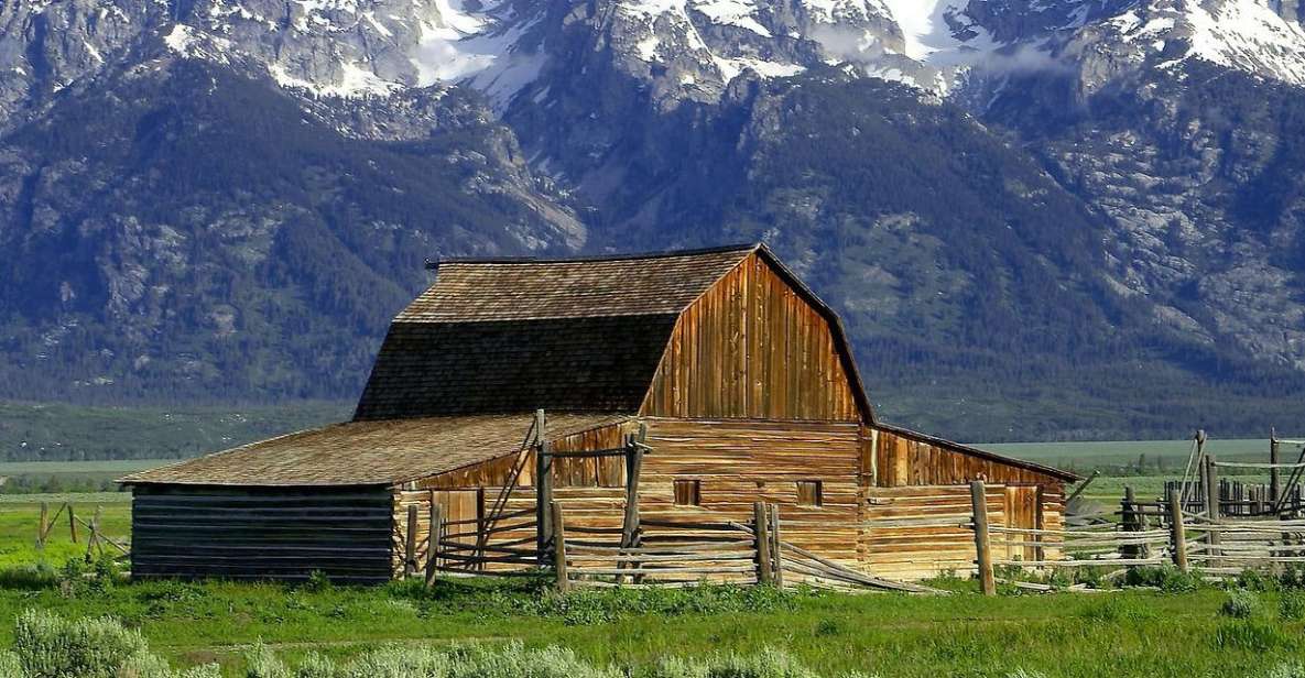 From Jackson: Half-Day Grand Teton National Park Tour - The Real Experience: What You’ll See and Do