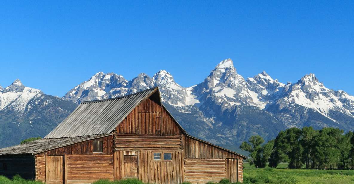 From Jackson Hole: Half-Day Grand Teton Wildlife Tour - From Jackson Hole: Half-Day Grand Teton Wildlife Tour – A Complete Guide