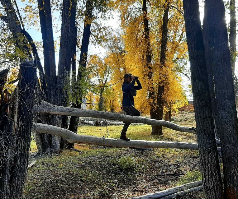 From Jackson Hole: Half-Day Grand Teton Wildlife Tour - Final Thoughts