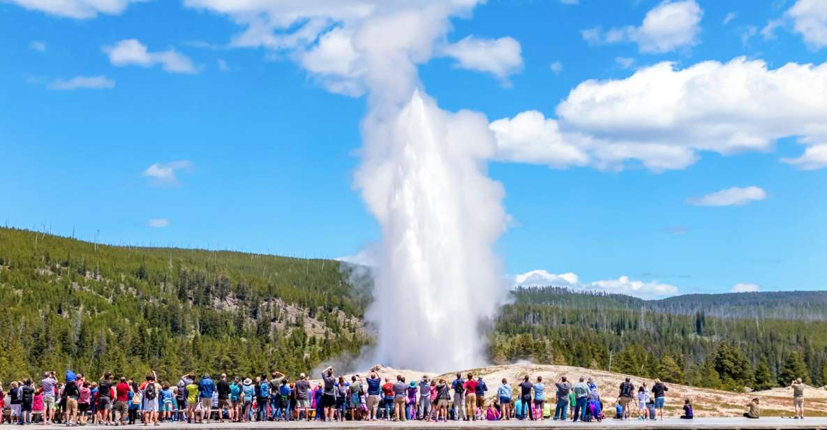 From Jackson: Yellowstone Day Tour Including Entrance Fee - Value for Money and Overall Experience