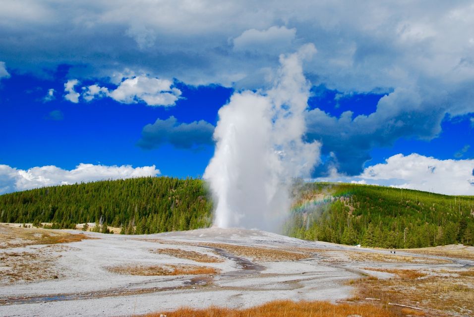 From Jackson: Yellowstone National Park Day Trip with Lunch - What This Tour Offers in Practice