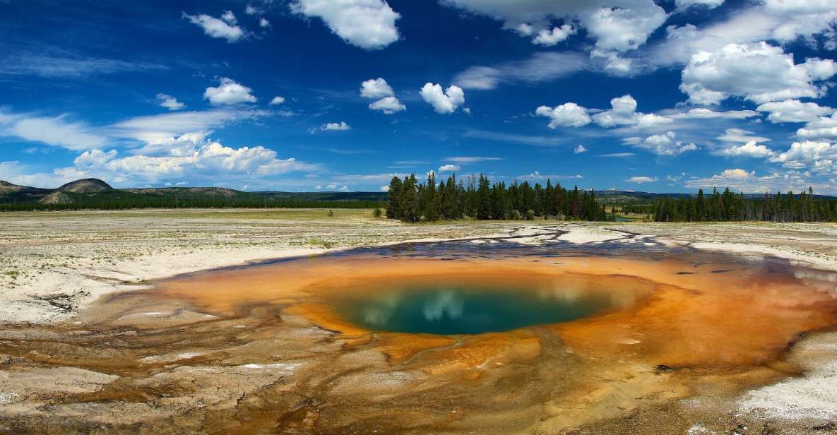 From Jackson: Yellowstone National Park Day Trip with Lunch - Analyzing the Price and Overall Value