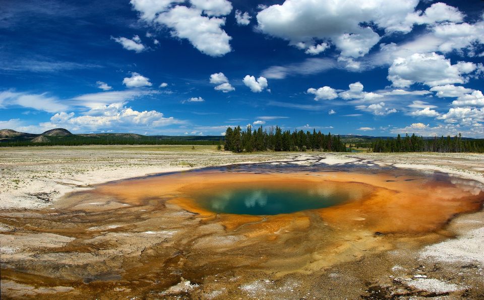 From Jackson: Yellowstone National Park Day Trip with Lunch - Who Is This Tour Best For?