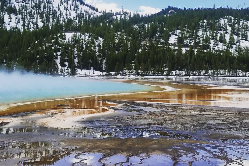 From Jackson: Yellowstone National Park Day Trip with Lunch - Practical Next Steps