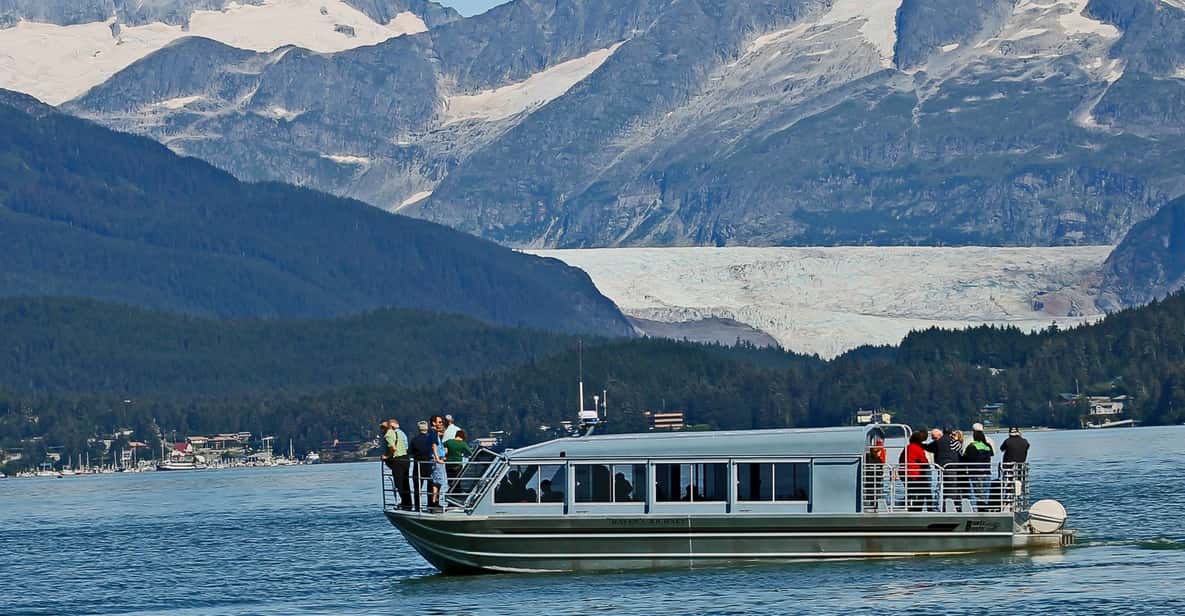 From Juneau: Whale Watching Cruise with Snacks - An In-Depth Look at the Whale Watching Experience