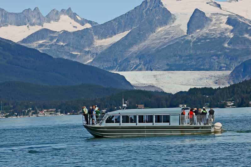 From Juneau: Whale Watching Cruise with Snacks - The Sum Up: Is it Worth It?