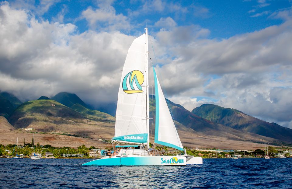 From Kaanapali: Afternoon West Maui Snorkeling w/ Drinks - Why Choose This Tour?  