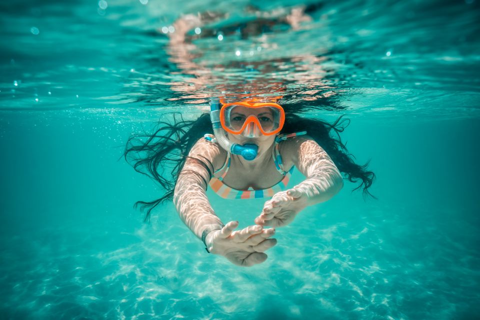 From Ka'anapali: West Maui Half-Day Snorkel Tour w/ Food - An In-Depth Look at the Maui Snorkel Experience